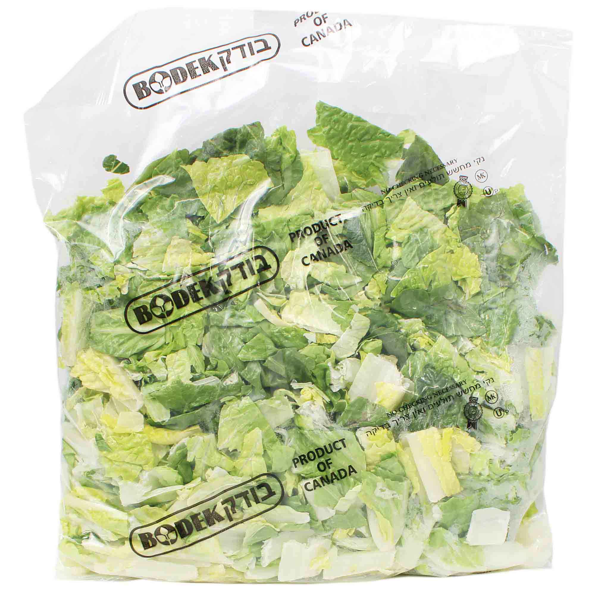 Chopped Lettuce